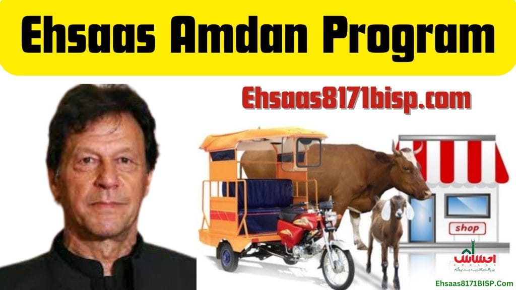Ehsaas Amdan Program CNIC Check Online Registration